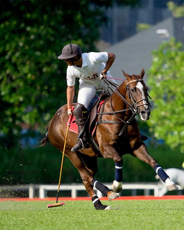 Polo Fest CDMX 2025: elegancia, ritmo y lujo ecuestre en Campo Marte